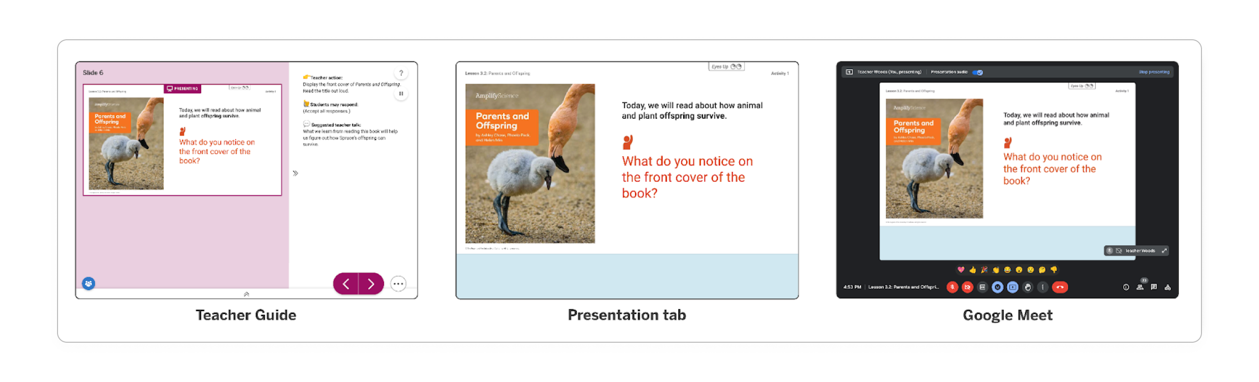 Amplify digital experience: FAQ