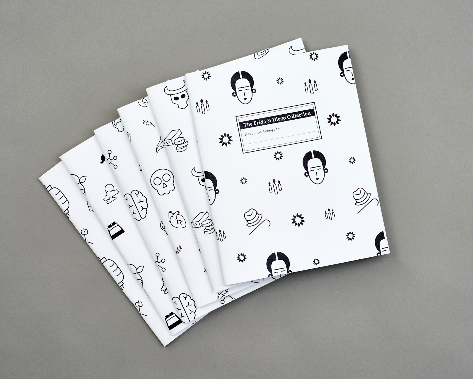 Amplify ELA: Print and Digital Supports