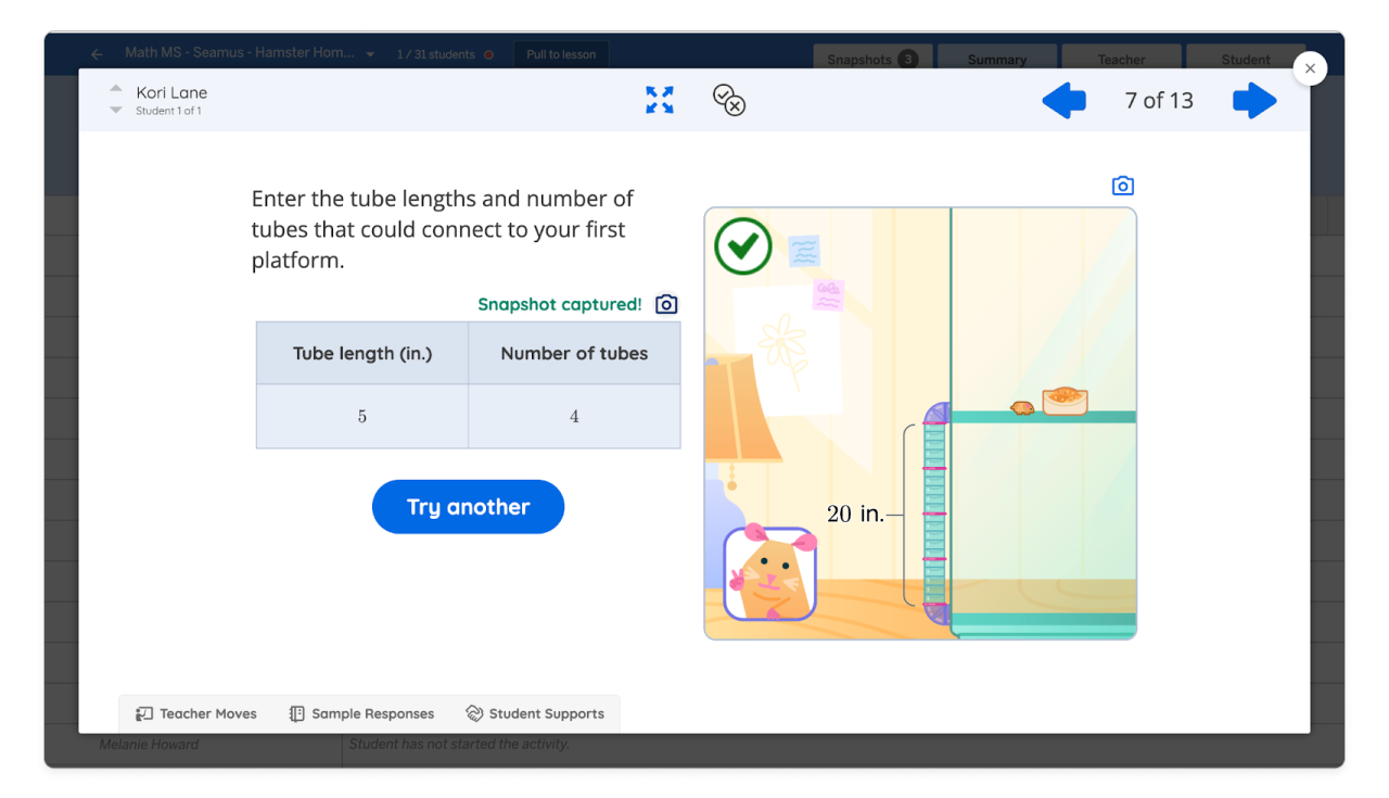 Amplify Desmos Math: Snapshots
