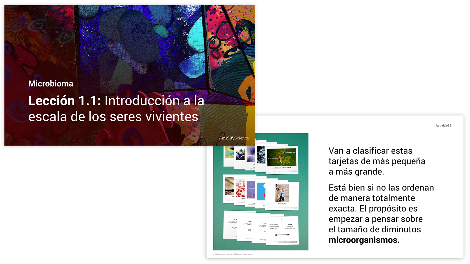 Spanish materials in Amplify Science 6–8