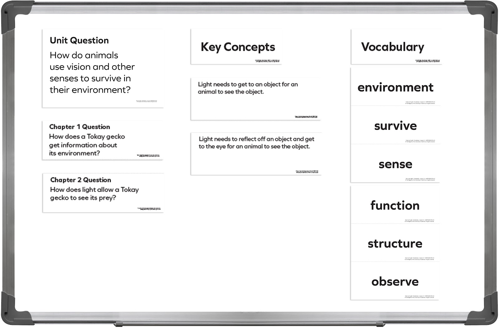 The Classroom Wall in Amplify Science units