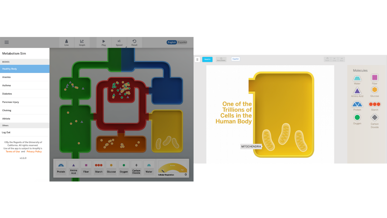 Amplify Science 6–8 program features