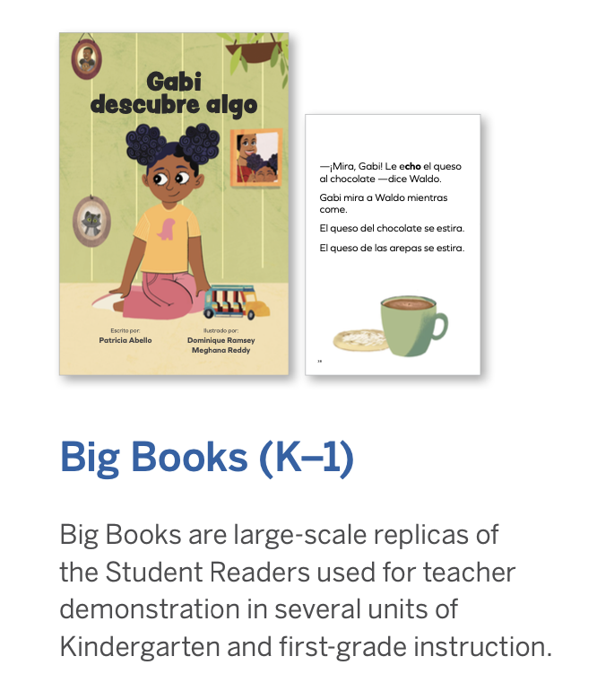 Caminos Lectoescritura (Skills)