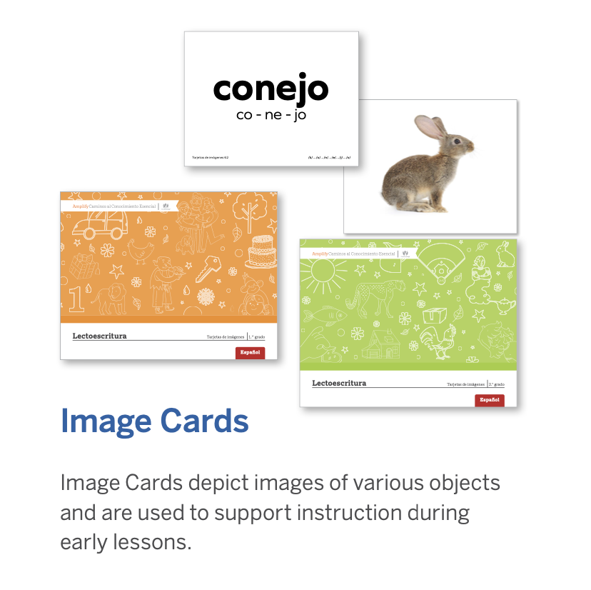 Caminos Lectoescritura (Skills)