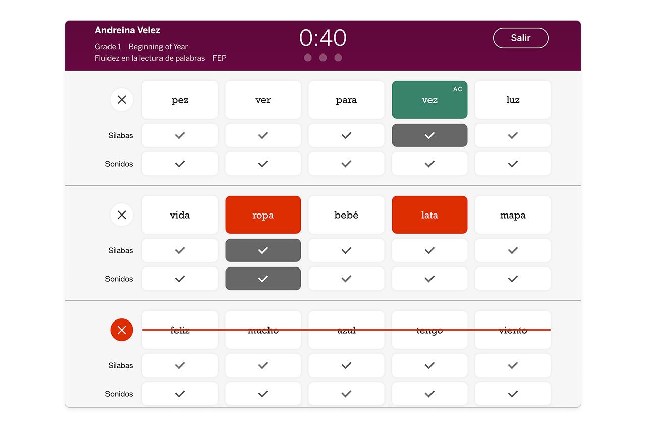 mCLASS: Spanish Assessment
