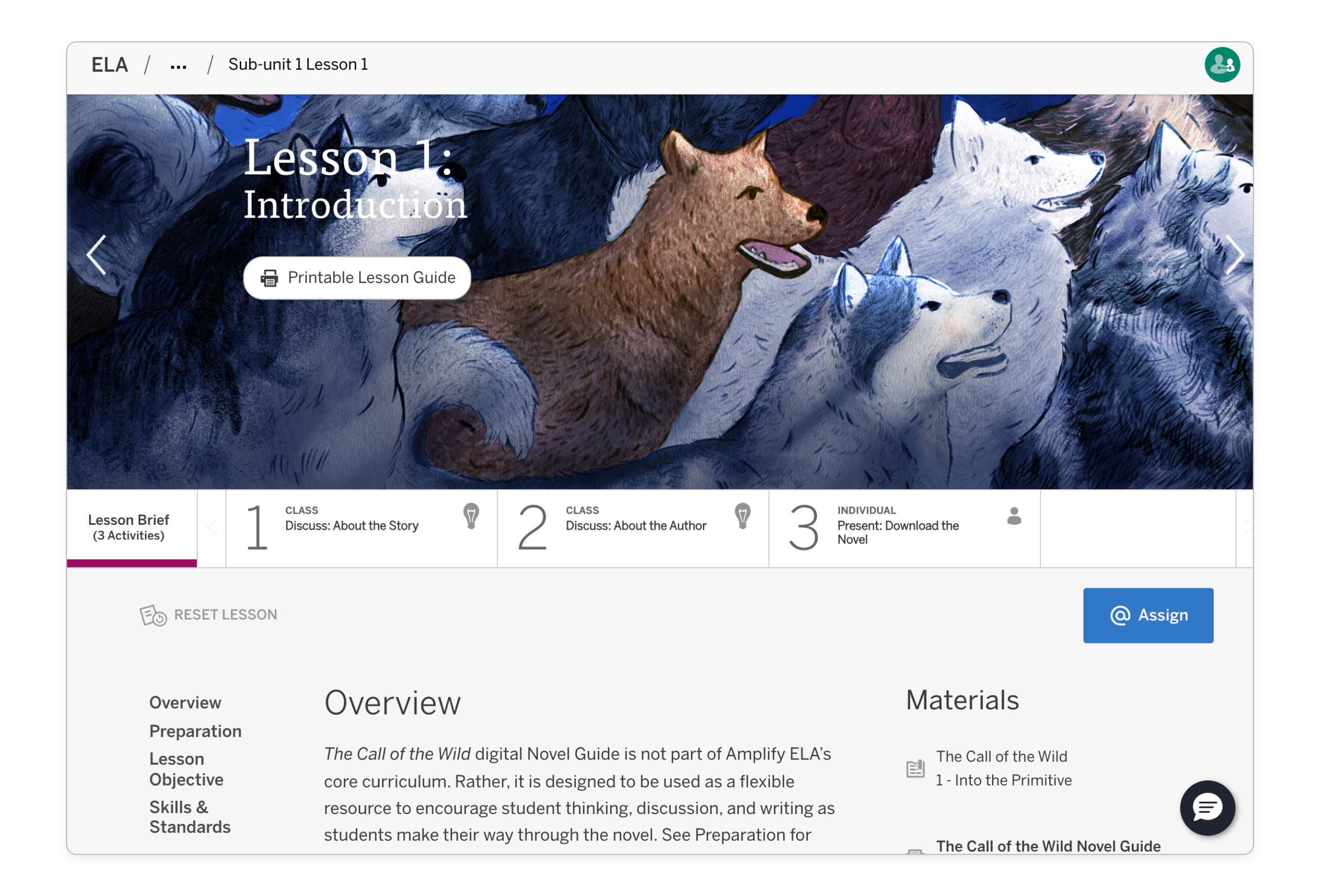 Amplify ELA: Novel Guides
