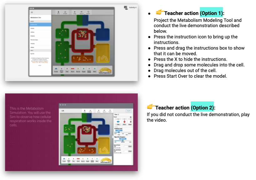 Amplify Science Classroom Slides for Grades 6–8