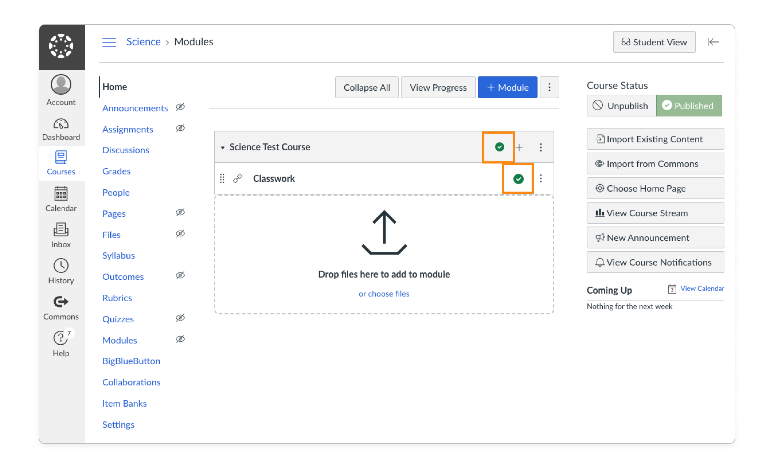 Canvas: Teacher setup for Amplify grade sync