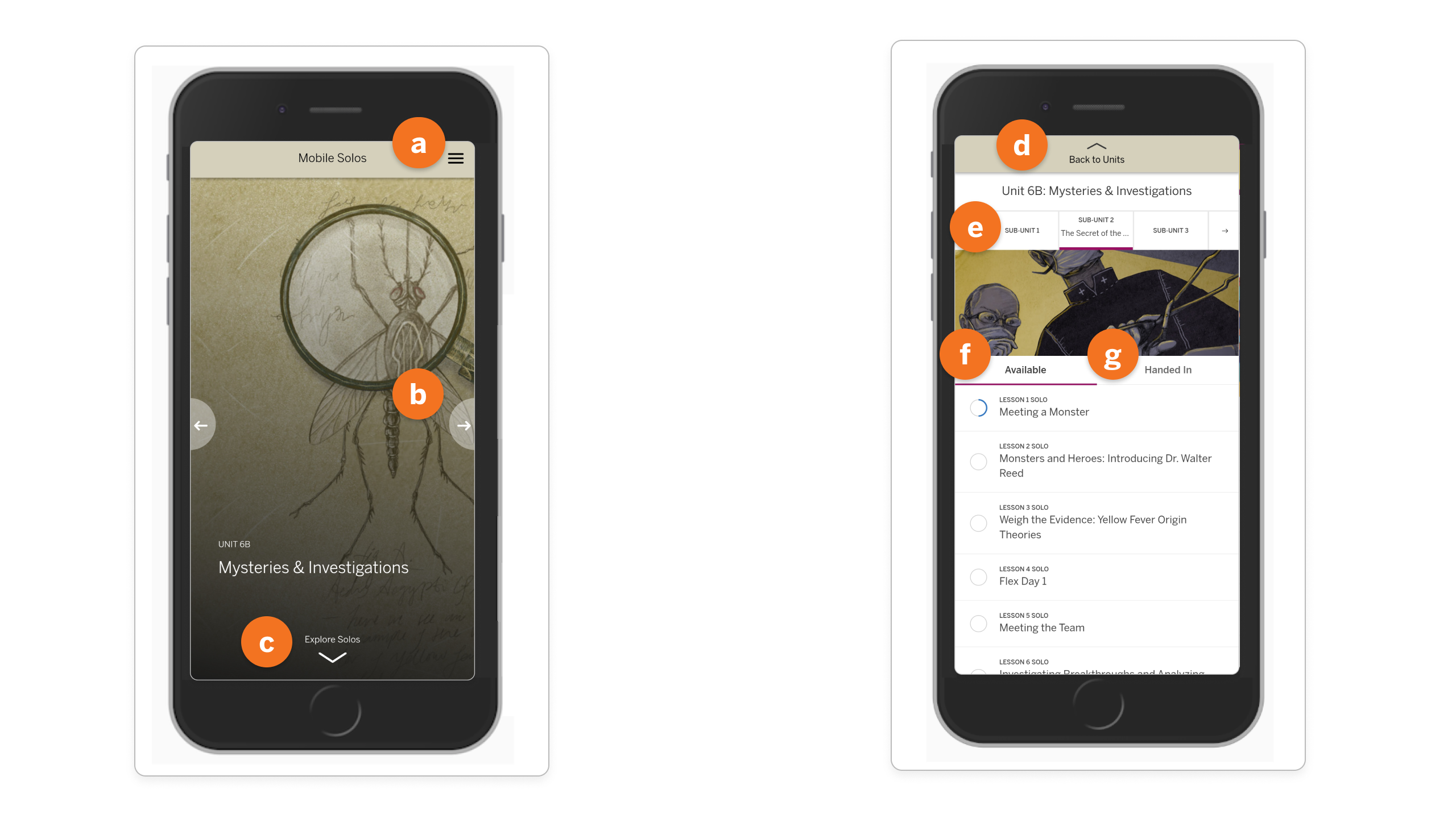 Amplify ELA: Solo Overviews