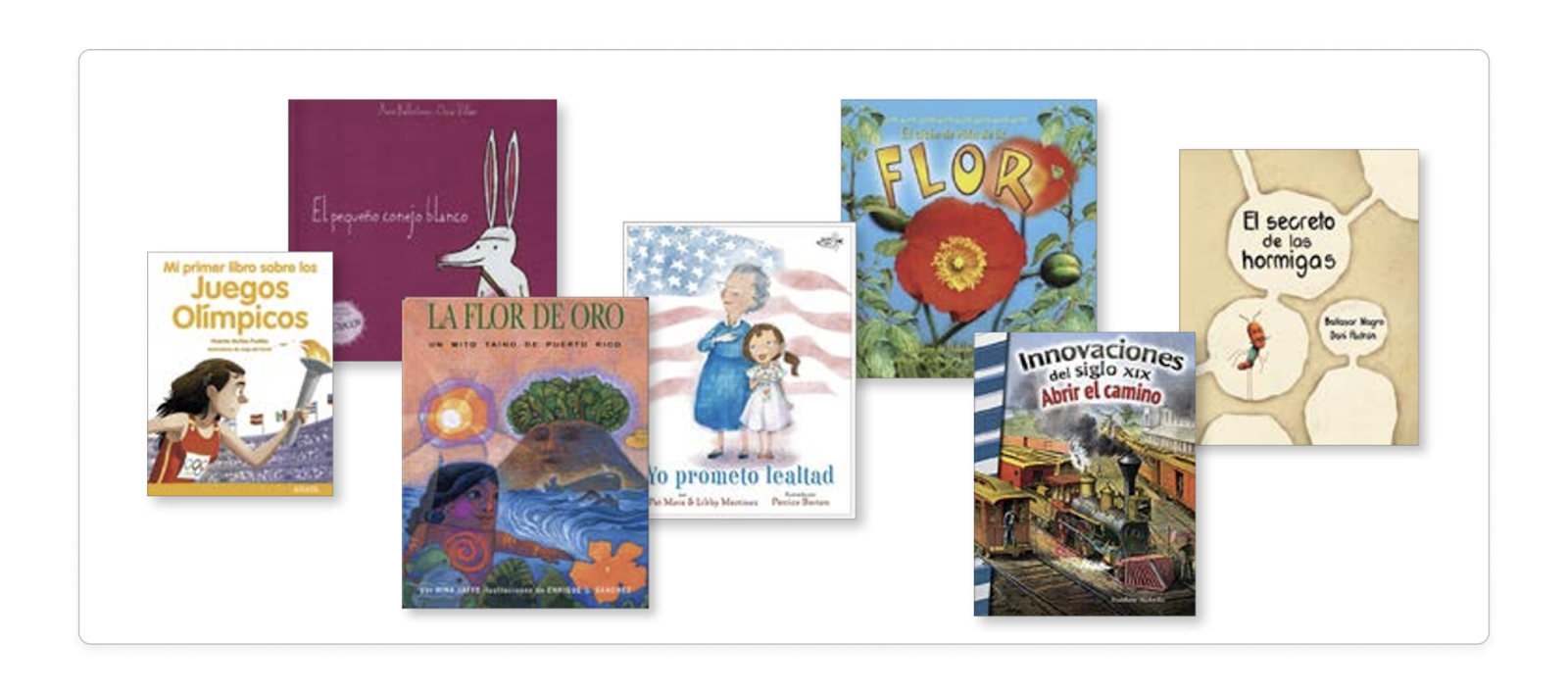 Amplify Caminos: Guides